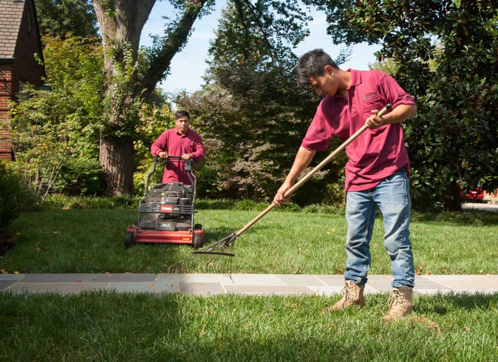 Lawn Maintenance | Martin Lawn & Landscaping