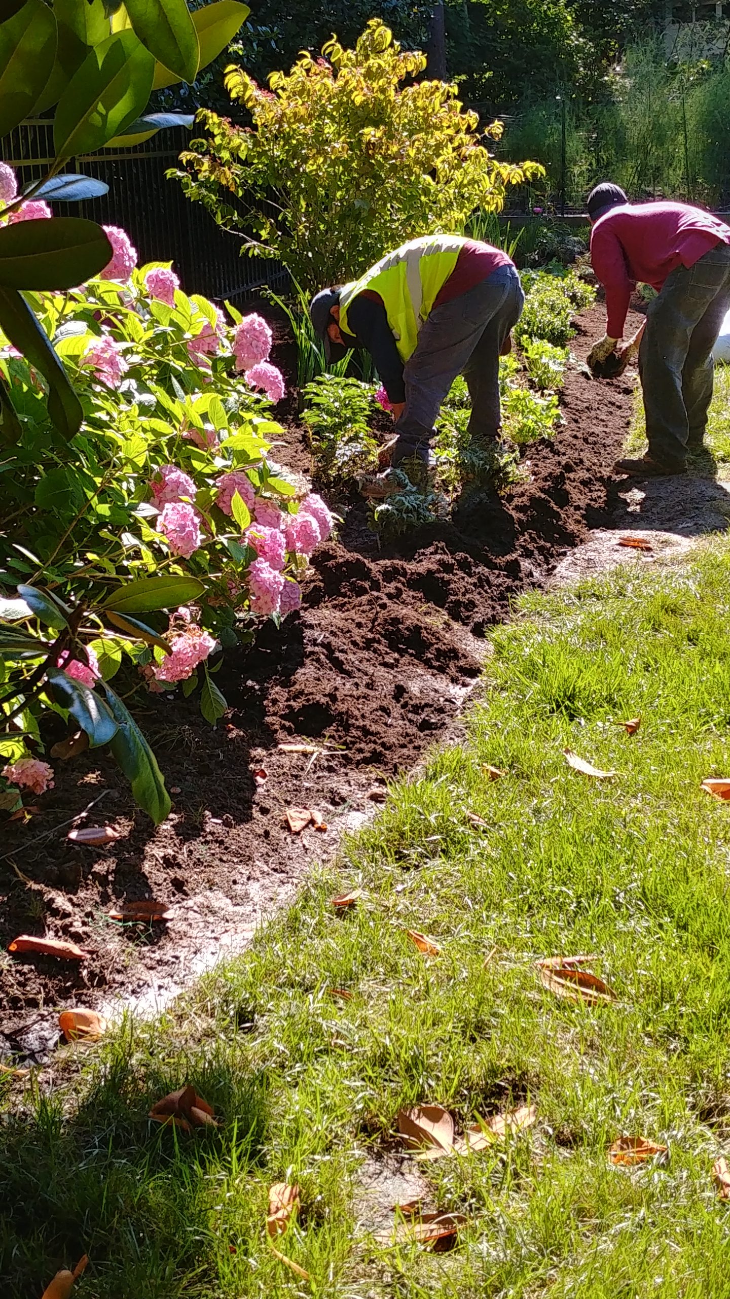 Gardens | Martin Lawn & Landscaping